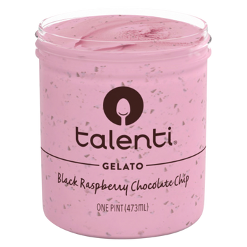 Talenti Coffee Chocolate Chip Gelato Pint – The Ice Cream Shop US