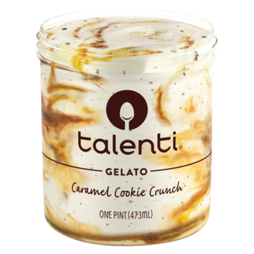 Talenti Black Raspberry Chocolate Chip Gelato Pint – The Ice Cream Shop US